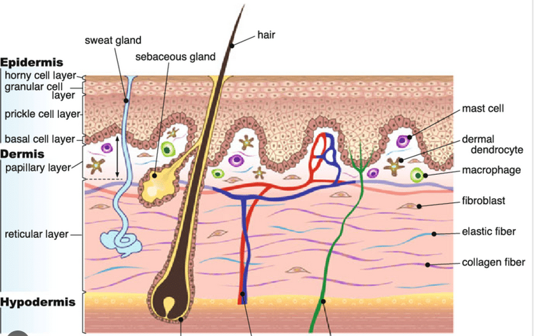 "The Power of Stacking: Combining Aerolase, Pico Laser, and RF ...